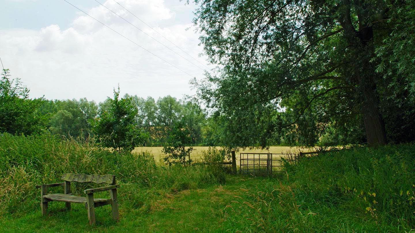 Fordham Hall Estate - Visiting Woods - Woodland Trust