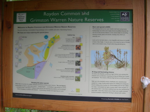 Roydon Common - Woodland Trust