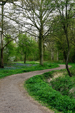 Linford Wood - Woodland Trust