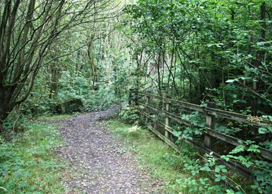 Bottling Wood - Woodland Trust