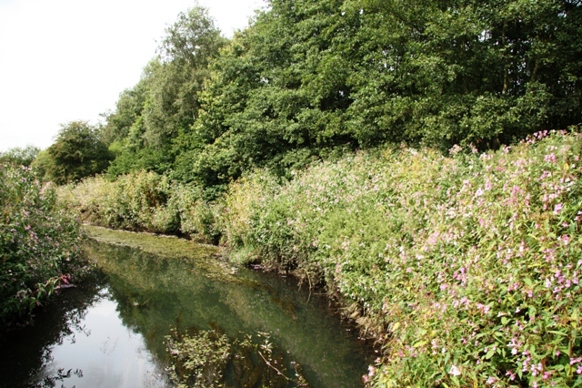 Standish Lower Ground Woodland - Woodland Trust