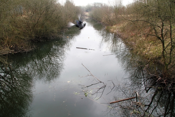 Lower Ince Woodland - Woodland Trust