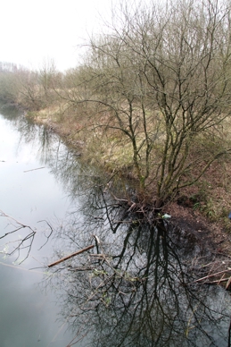 Lower Ince Woodland - Woodland Trust