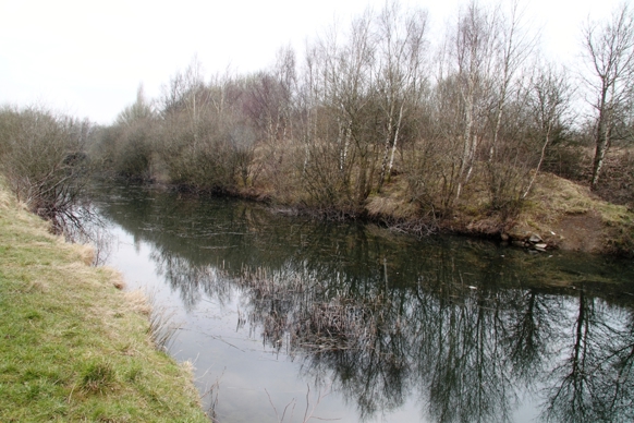 Lower Ince Woodland - Woodland Trust