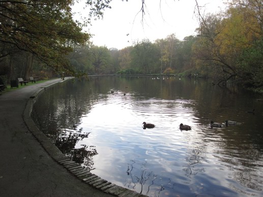 Whitewebbs Wood - Woodland Trust
