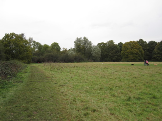 Cheyne Walk Open Space - Woodland Trust