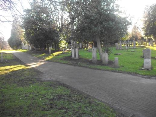 Comely Bank Cemetery - Woodland Trust