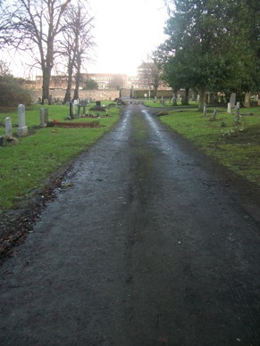 Comely Bank Cemetery - Woodland Trust