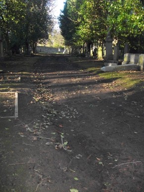 Comely Bank Cemetery - Woodland Trust