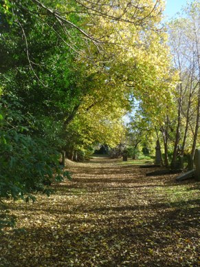 Dalry Cemetery - Woodland Trust