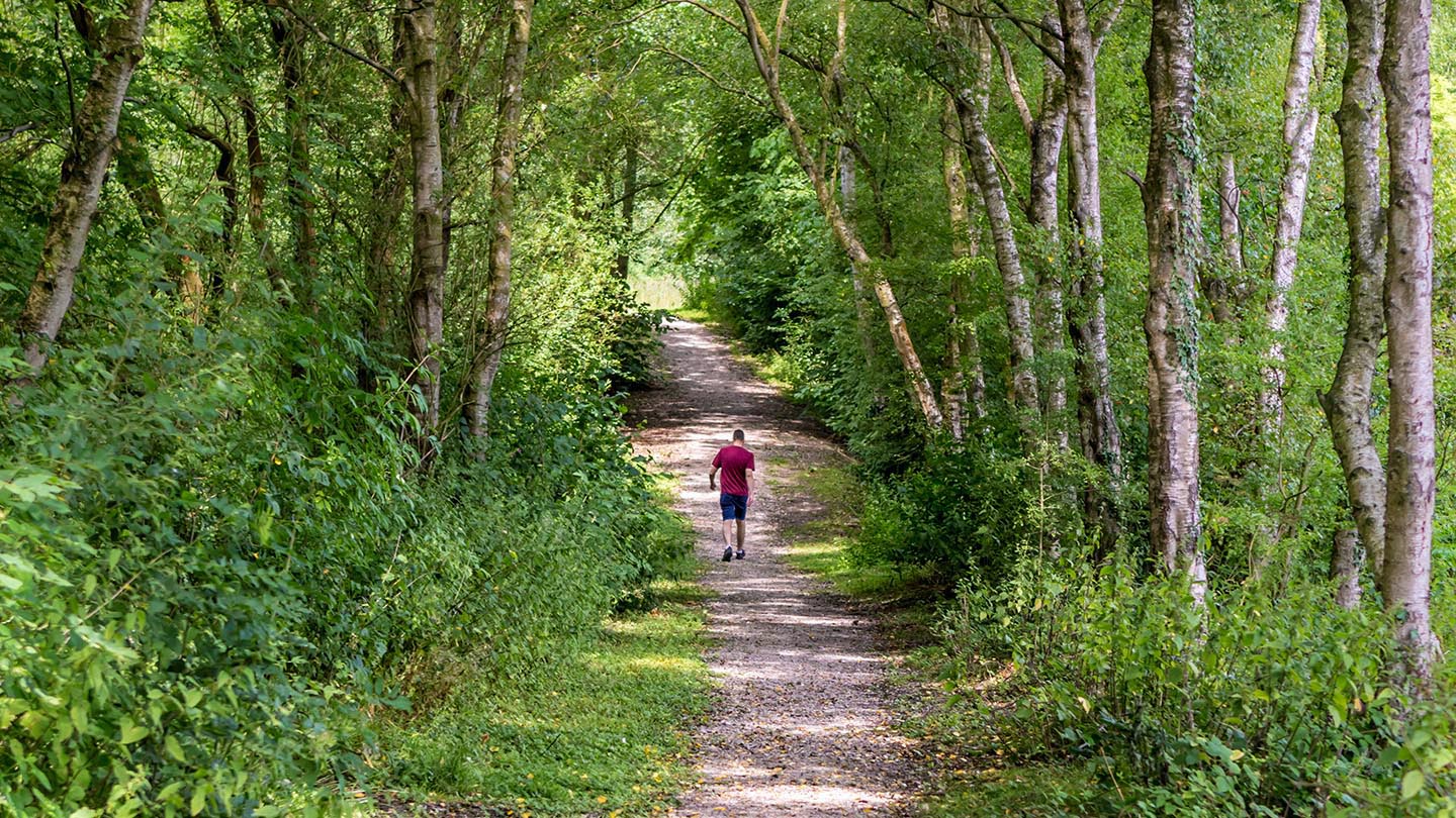 Gorse Covert Mounds - Visiting Woods - Woodland Trust