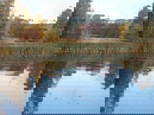 Ford Green Nature Reserve - Woodland Trust