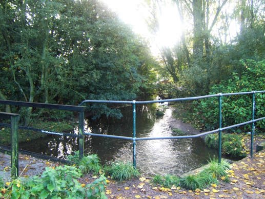 Ford Green Nature Reserve - Woodland Trust
