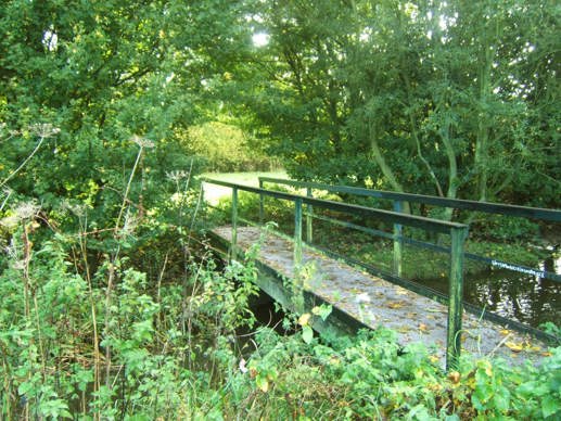 Ford Green Nature Reserve - Woodland Trust