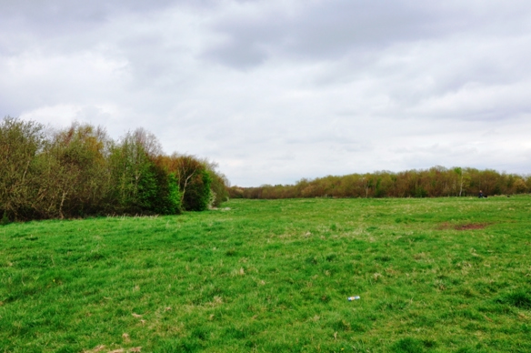 Rimrose Valley Country Park - Woodland Trust