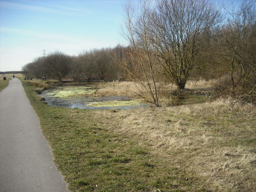 Rimrose Valley Country Park - Woodland Trust