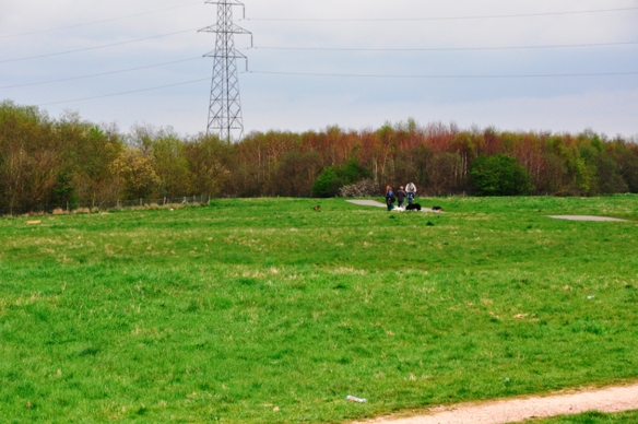 Rimrose Valley Country Park - Woodland Trust
