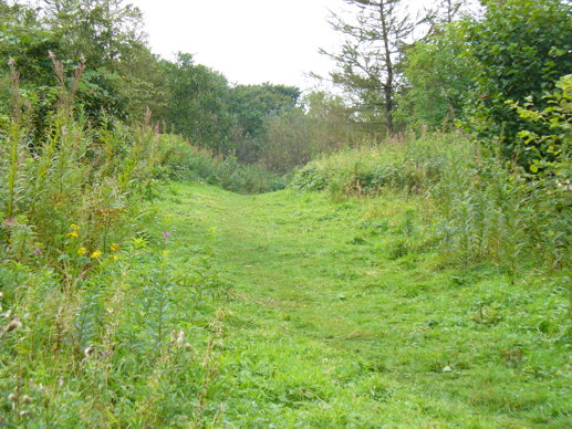Beecraigs Country Park - Woodland Trust