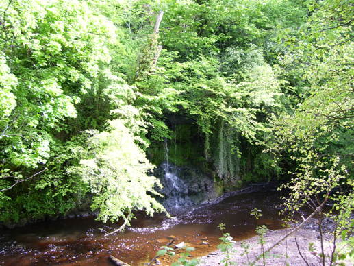Almondell & Calderwood Country Park - Woodland Trust