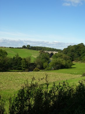 Almondell & Calderwood Country Park - Woodland Trust