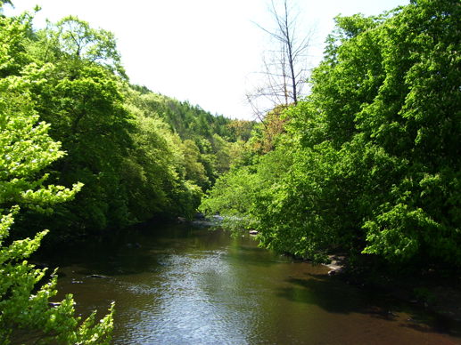 Almondell & Calderwood Country Park - Woodland Trust
