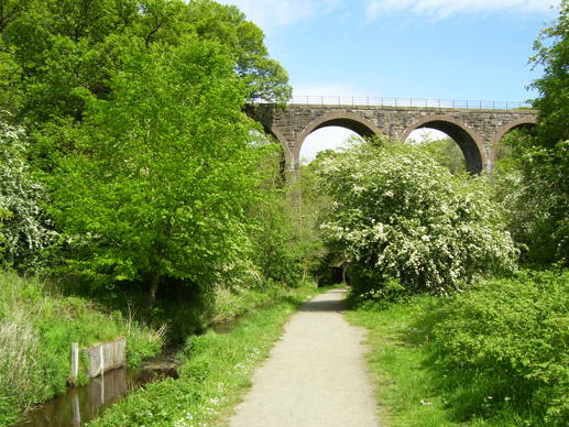 Almondell & Calderwood Country Park - Woodland Trust