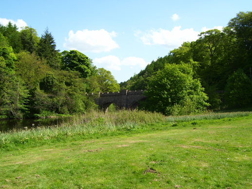 Almondell & Calderwood Country Park - Woodland Trust