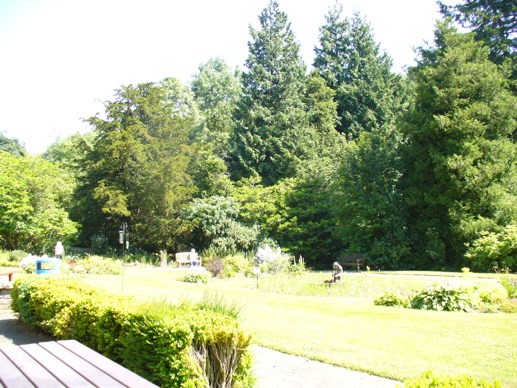 Almondell & Calderwood Country Park - Woodland Trust