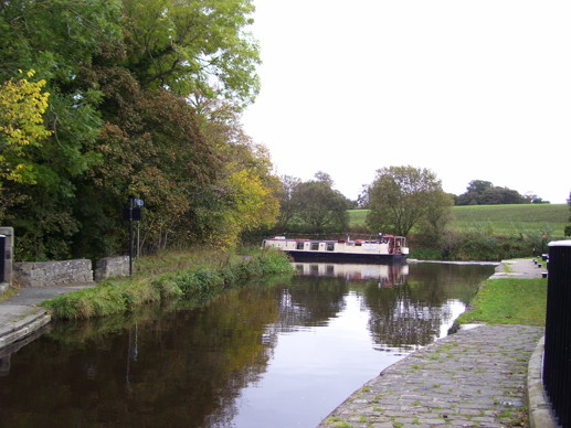 Almondell & Calderwood Country Park - Woodland Trust