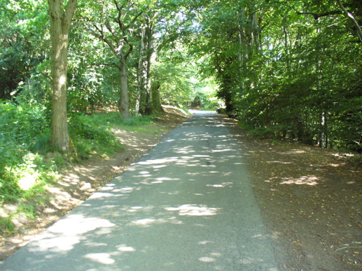 Almondell & Calderwood Country Park - Woodland Trust