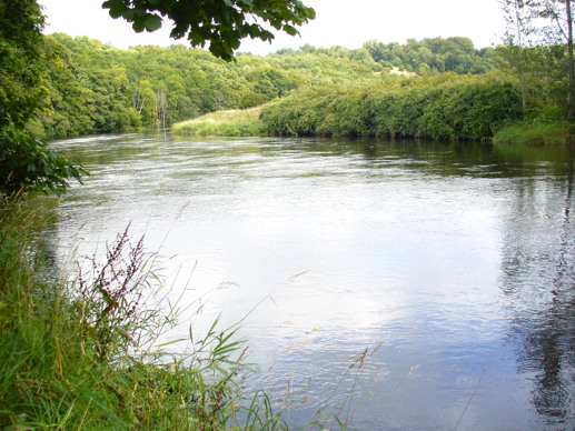 Mauldslie Wood NNR - Woodland Trust