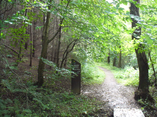 Mauldslie Wood NNR - Woodland Trust