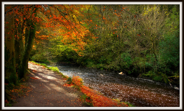 Calderglen Country Park - Woodland Trust