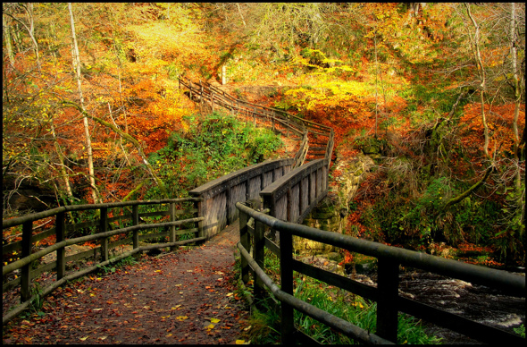 Calderglen Country Park - Woodland Trust