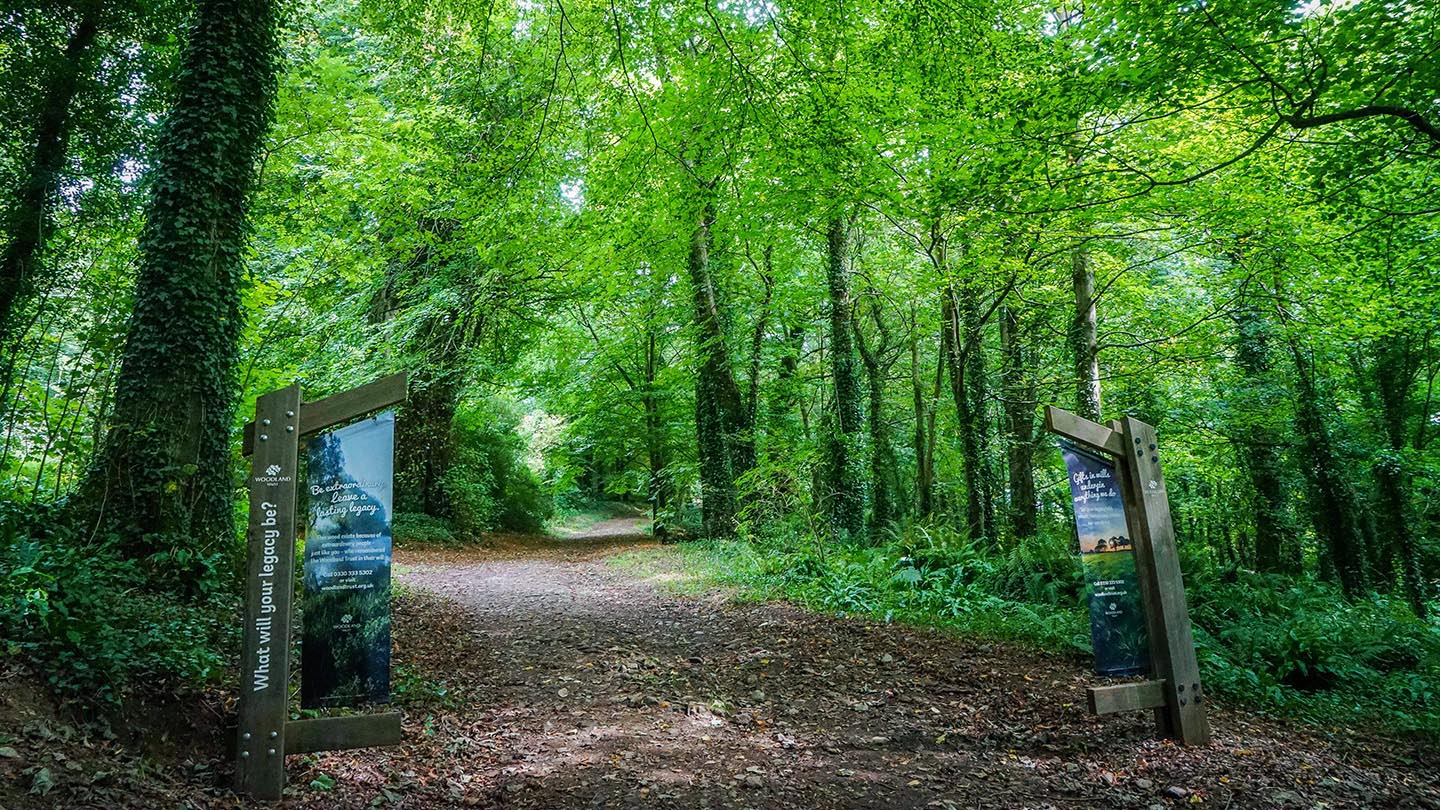 Hardwick Wood - Visiting Woods - Woodland Trust