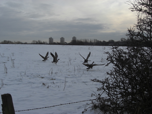 Reddish Vale Country Park - Woodland Trust