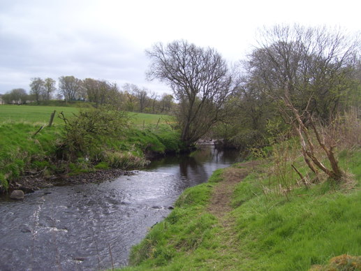 Easter Breich - Woodland Trust