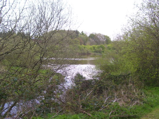 Easter Breich - Woodland Trust