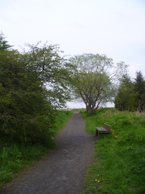 Cairnyhead, Torbothie - Woodland Trust