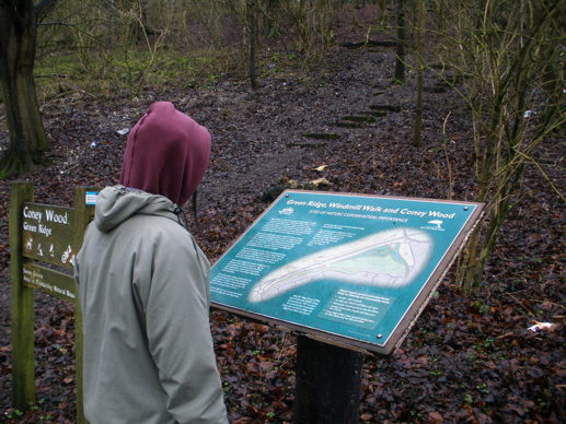 Coney Wood - Woodland Trust