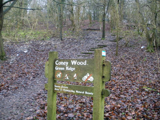 Coney Wood - Woodland Trust