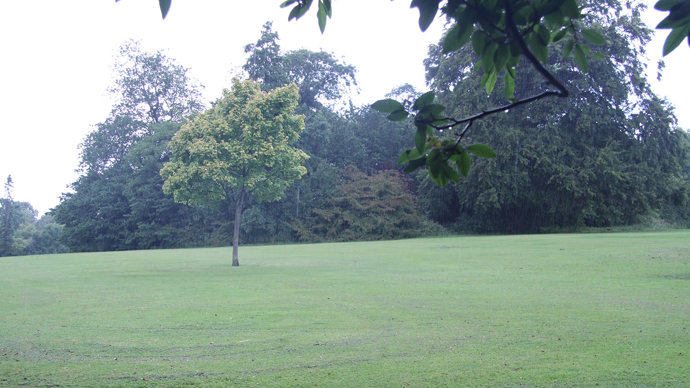Withdean Park Wood - Woodland Trust