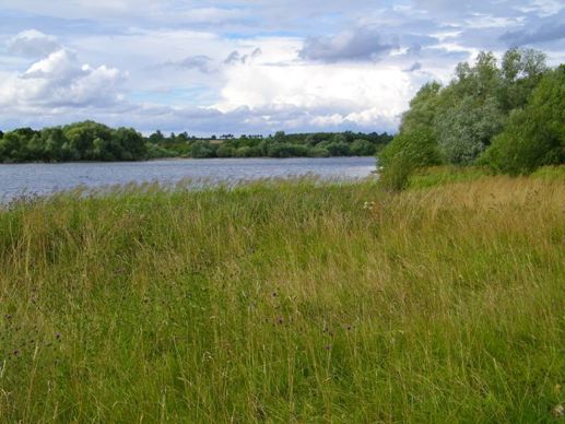 Pitsford Reservoir - Woodland Trust