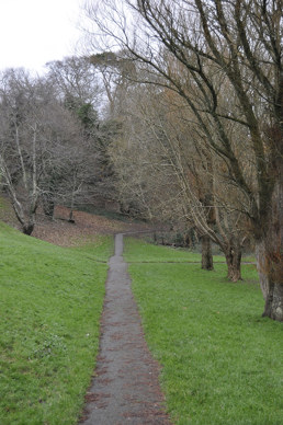 Ham Woods - Woodland Trust