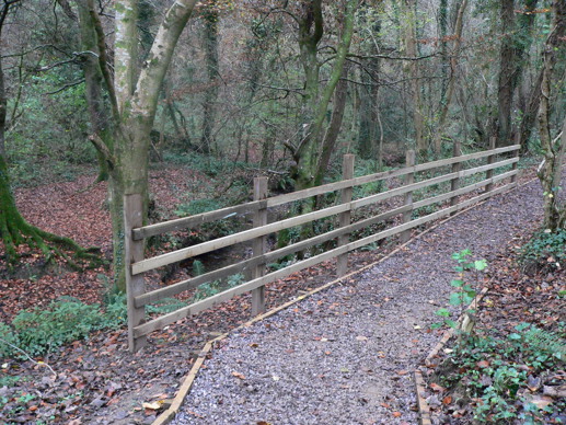 Ham Woods - Woodland Trust
