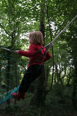 Ham Woods - Woodland Trust