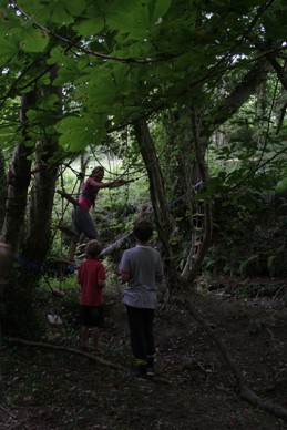 Ham Woods - Woodland Trust