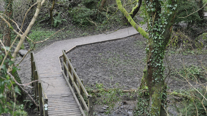 Ham Woods - Woodland Trust