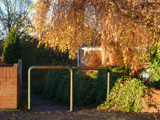 Stonebank Road Open Space - Woodland Trust