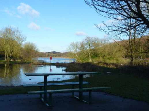 Bathpool Country Park - Woodland Trust